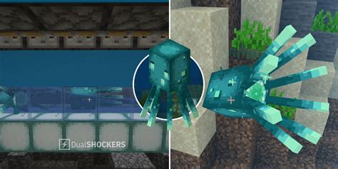 Squid Minecraft Glow Squid Minecraft Skins