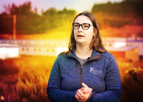 Edge Factor On Linkedin In The Heart Of Northwestern Ontario