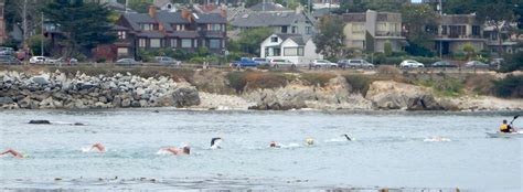 Swimmer In Suspected Monterey Shark Attack Was A Triathlete Swam At
