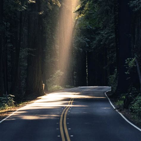 Building Resilience In Business Mckinsey