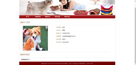 java jsp mysql宠物领养网站（源码 论文 ppt 中期检查 任务书） 代码 当牛作码
