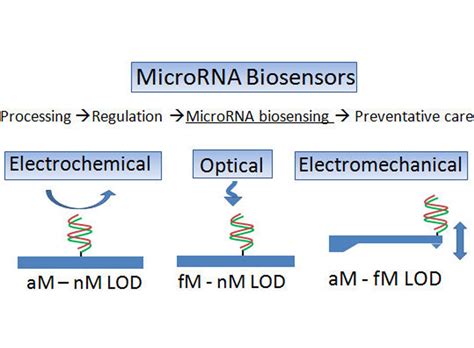 Publications • Viriginia Tech Biomanufacturing And Bionsensing Laboratory