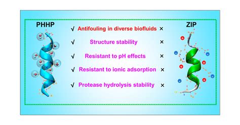 Designed Polyhydroxyproline Helical Peptide With Ultrarobust