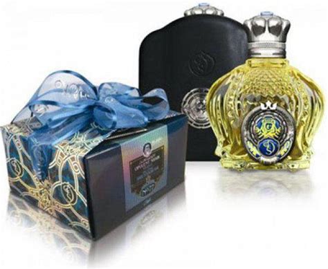 Designer Shaik Chic Shaik Blue №77 Men - 100 ml - Eau De Parfum ...
