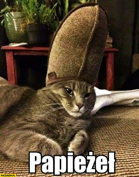 Papie E Kot Z Kapciem Na G Owie Papie Paczaizm Pl