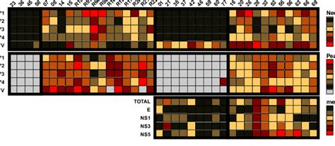 Specificity And Cross Reactivity Of Antibody And T Cell Responses From