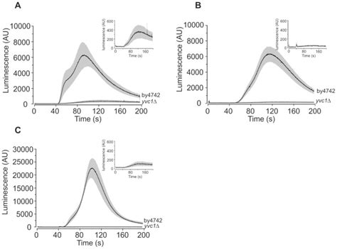Ca2 Dependent Aequorin Luminescence From By4742 And Yvc1Δ Cells In Download Scientific Diagram