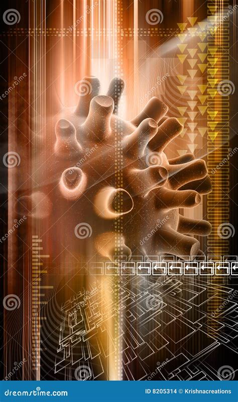 Herpes Simplex Virus Particle Structure Stock Image 36579295