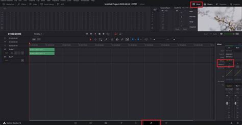 Reverb In Davinci Resolve Learn In 1 Minute