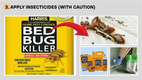 5 Best Ways To Get Rid Of Bed Bugs Permanently