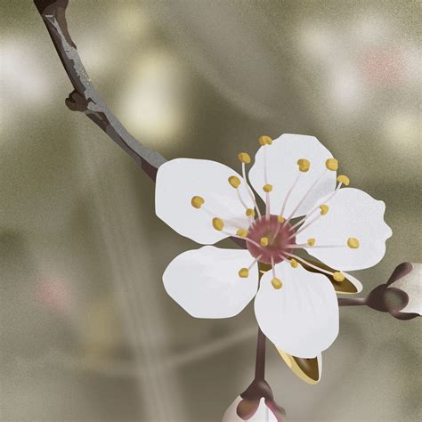 White Flower Drawn In Adobe Illustrator As Part Of Flower Series