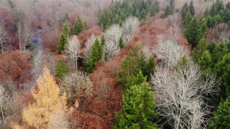 Deep Dhar On Linkedin Digitalproductschool Softwaredevelopement Productmanagement