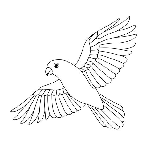 Line Art Of Flying Hanging Parrot 68134863 Vector Art At Vecteezy