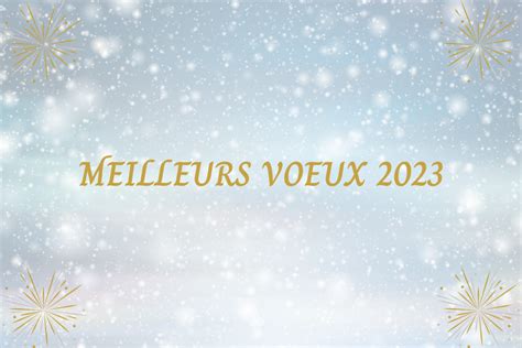 Meilleurs Voeux 2023 Paroisse Saint Vincent Diocèse De Moulins