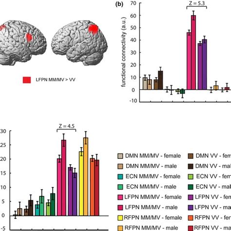Cortical Representation Of The Dmn A Ecn B Lfpn C And Rfpn D