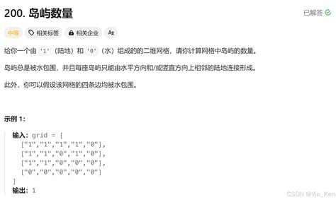 top100 岛屿数量 csdn博客