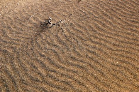 Pattern In The Sand Stock Image Image Of Mountain Pattern 1736413