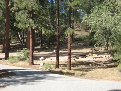 Barton Flats San Bernardino National Forest