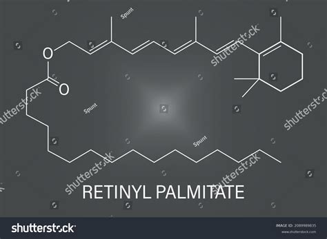 Retinyl Palmitate Vitamin Supplement Molecule Ester Stock Vector