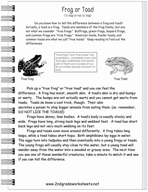 Informational Text 3rd Grade