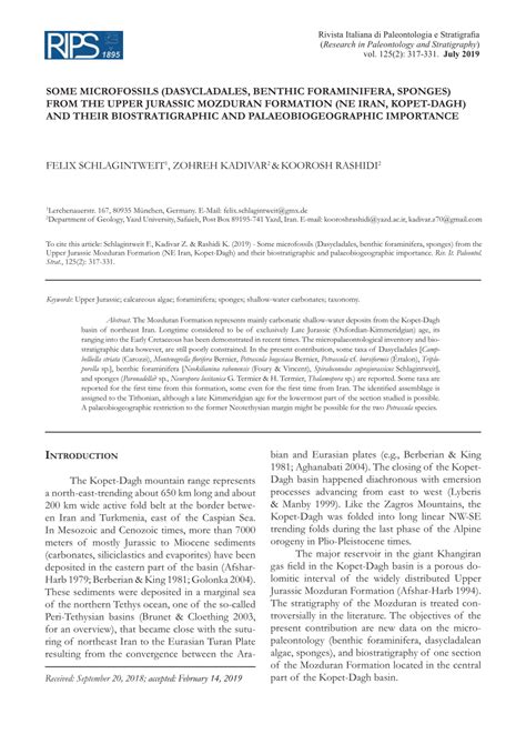 Pdf Some Microfossils Dasycladales Benthic Foraminifera Sponges