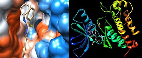 3d Molecular Docking Modeling Of Compound Between Ligand Na Phncspzph2