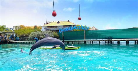 Cartagena 4 Islas En Barco Deportivo Entradas Al Oceanario Getyourguide