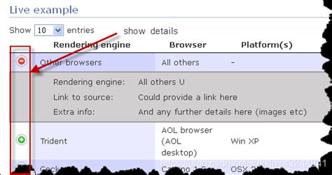 Jquerydatatablesjs插件用法及api实例详解js Datatable Api Csdn博客