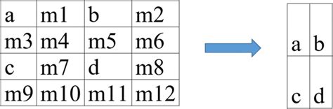 representation of downsampling process download scientific diagram