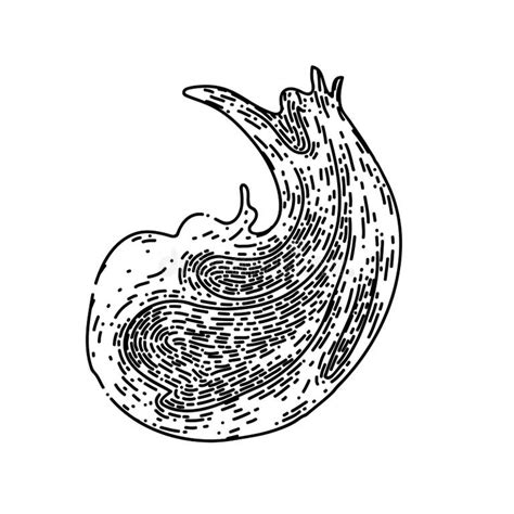 Chocolate Paste Spread Sketch Hand Drawn Vector Stock Vector