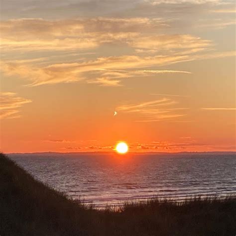 What In Tarnation Youtube Music