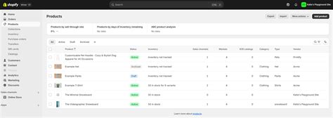 How Shopify Works For New Store Owners