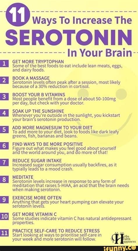 Increase Serotonin Artofit
