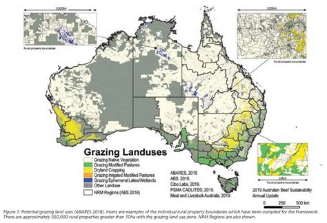 ‘deforestation In Focus As 2020 Deadlines Near Beef Central