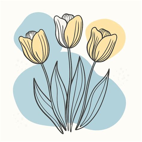 Premium Vector Vector Tulip Flower