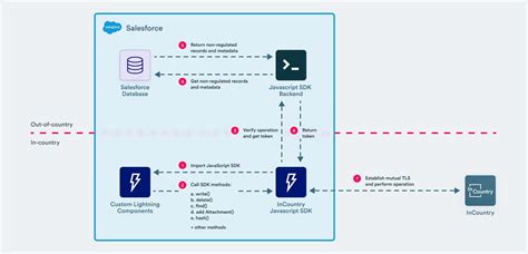 Salesforce Developers Overview Incountry
