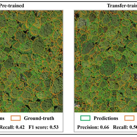 The Tree Crown Detection Of The Pre And Transfer Trained Detectree2 Download Scientific