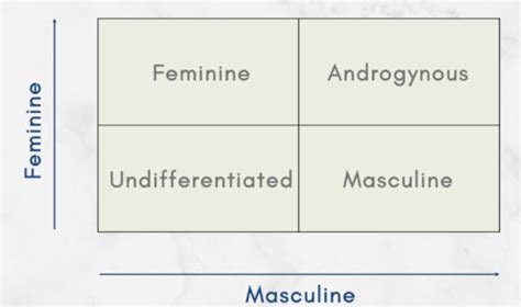 Chapter 13 14 Flashcards Quizlet