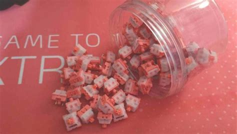 Perbedaan Switch Mechanical Keyboard Yang Harus Kamu Ketahui Gamebrott Com