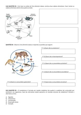 Pii 7° Ano 1° Bimestredocx