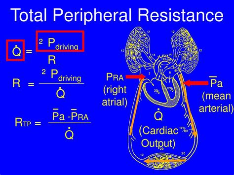 Ppt Arterial Pressure Powerpoint Presentation Free Download Id6358620