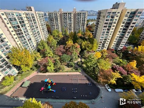 신탁 No 여의도 삼부·목화아파트 각자도생 선택하게 된 배경은