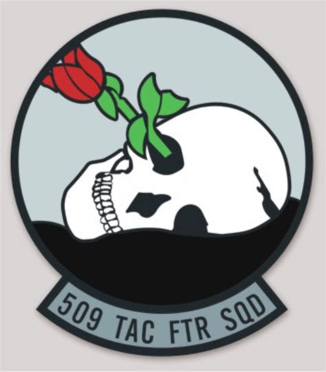 Buy Usaf 509th Tfs Tactical Fighte Patch