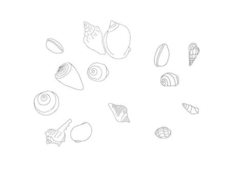 Premium Vector Hand Drawn Linear Set Of Shells