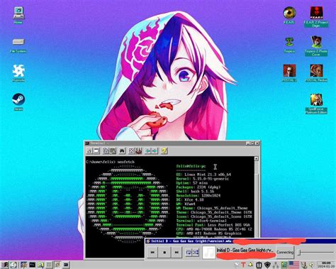 Linux Mint With Chicago 95 Theme Where In Chicago 95 Plus I Applied With Error Another