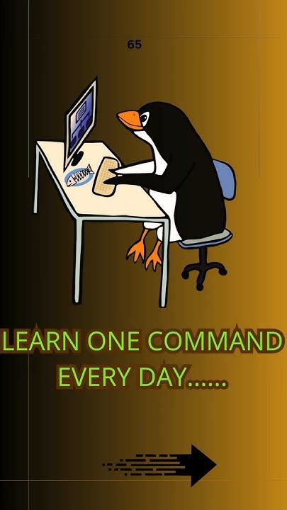 Learn One Command Every Day 65 Linuxtutorial Linuxcommandlinetutorial Linuxcommands Youtube