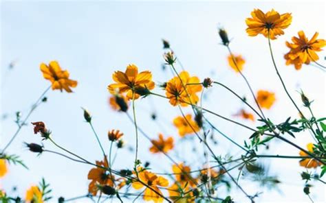Set Up A Spring Boot Application With Postgresql