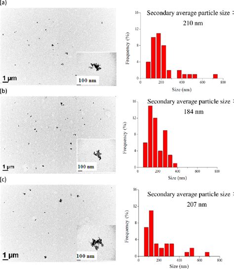 tem images 1 and particle size distribution 2 calculated from tem
