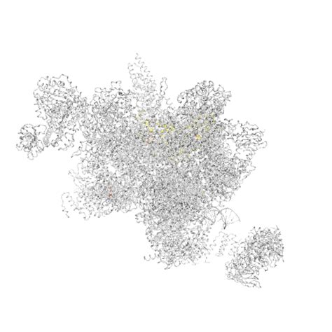 Eftud2 Gene Somatic Mutations In Cancer