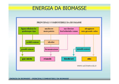Appunti Di Tecnologia Classi Terze Biomasse Biogas E Biocombustibili
